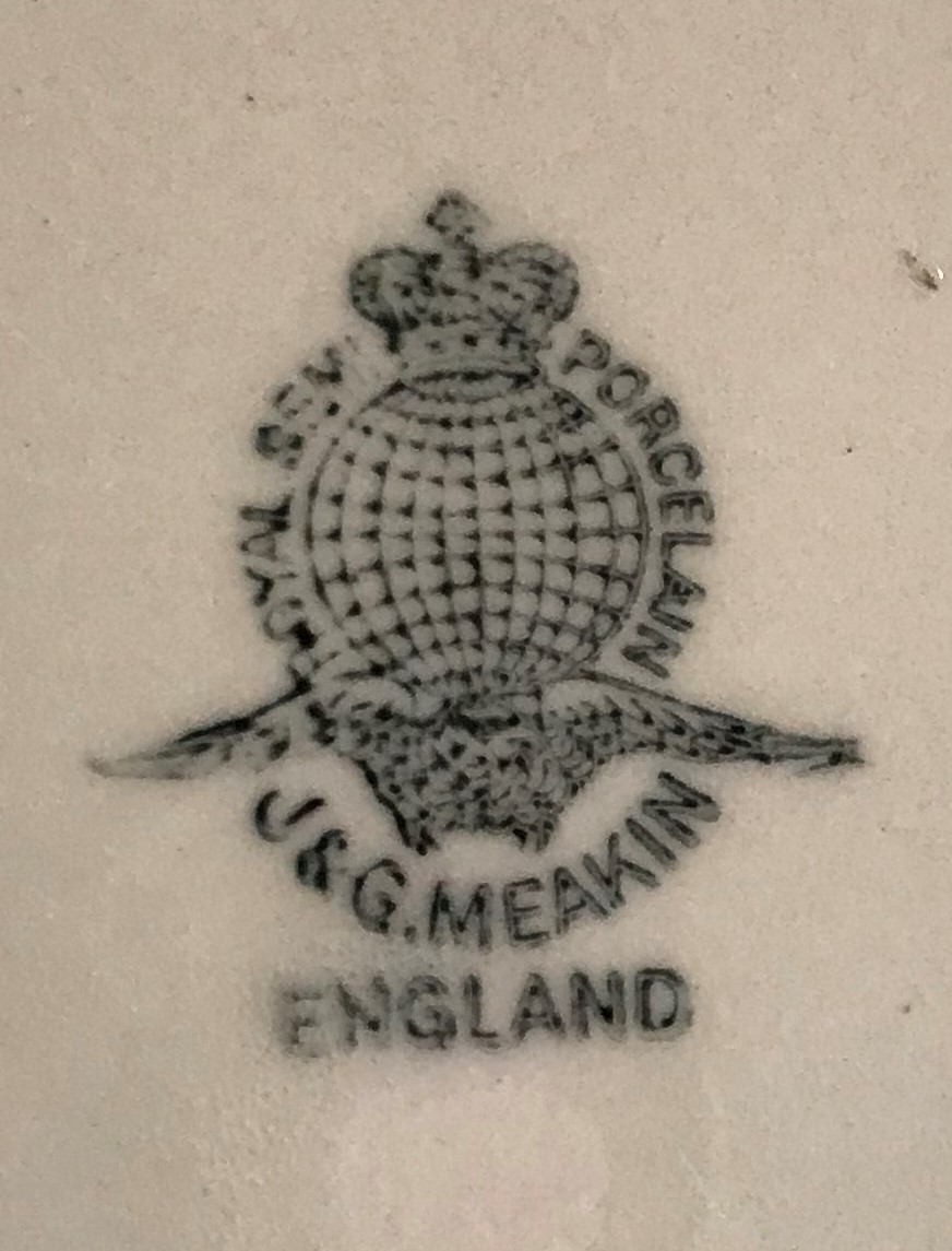 Week 8: 2023 I Can Identify – My Tree in the Forest